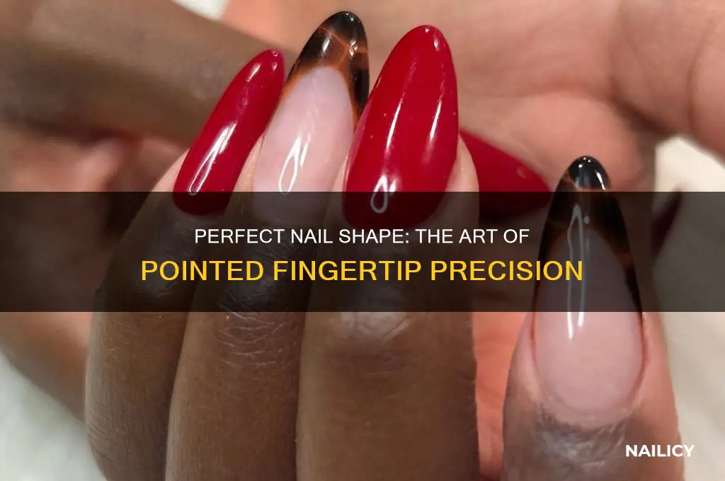 Perfect Nail Shape: The Art Of Pointed Fingertip Precision | Nailicy