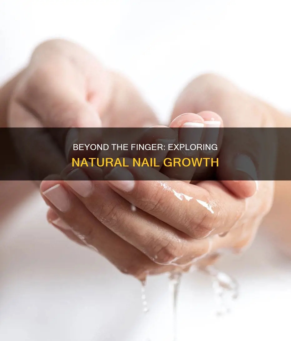 Beyond The Finger: Exploring Natural Nail Growth | Nailicy