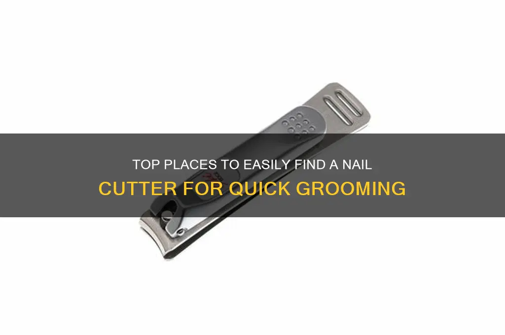 Top Places To Easily Find A Nail Cutter For Quick Grooming | Nailicy