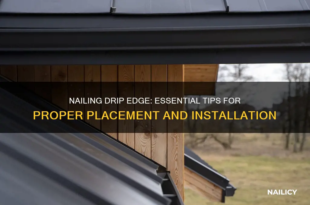Nailing Drip Edge: Essential Tips For Proper Placement And Installation ...