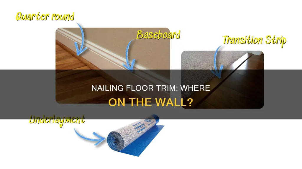 Nailing Floor Trim: Where On The Wall? | Nailicy