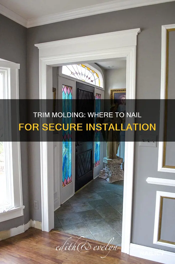 Trim Molding: Where To Nail For Secure Installation | Nailicy