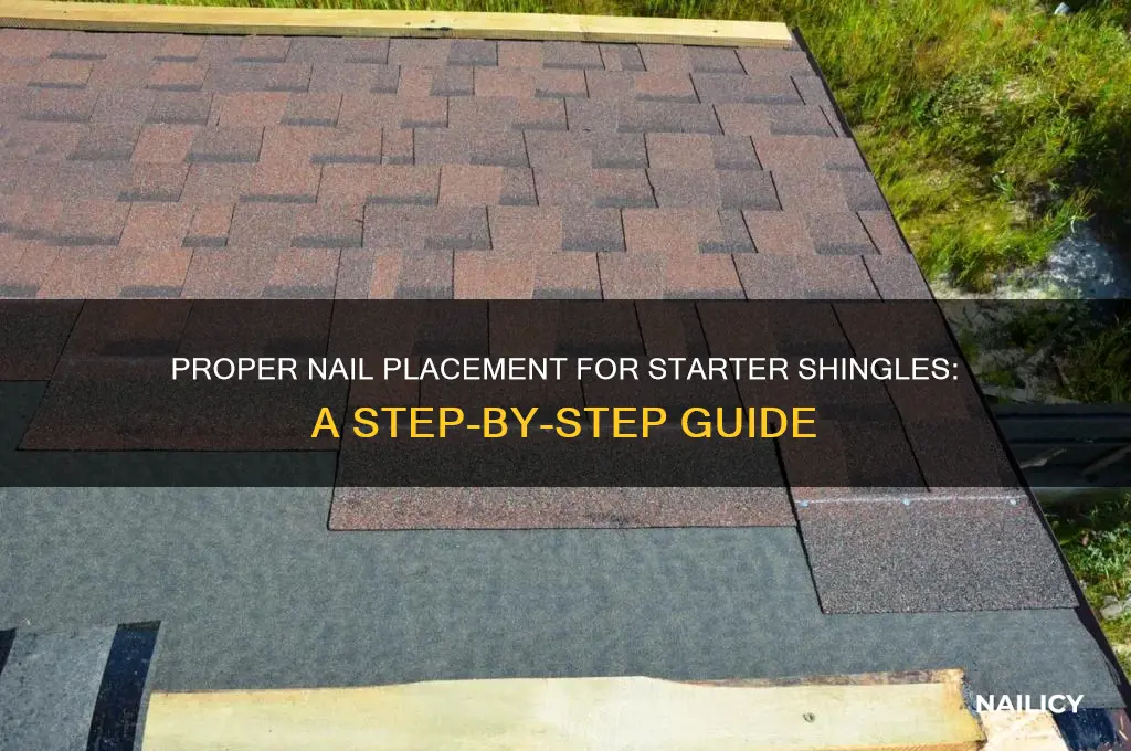 Proper Nail Placement For Starter Shingles: A Step-By-Step Guide | Nailicy