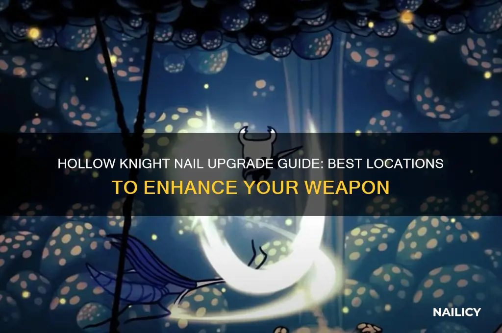 Hollow Knight Nail Upgrade Guide: Best Locations To Enhance Your Weapon ...