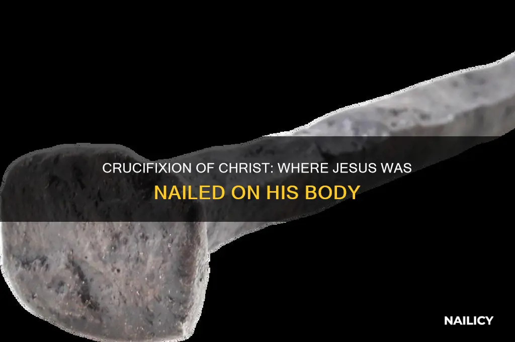 Crucifixion Of Christ: Where Jesus Was Nailed On His Body | Nailicy