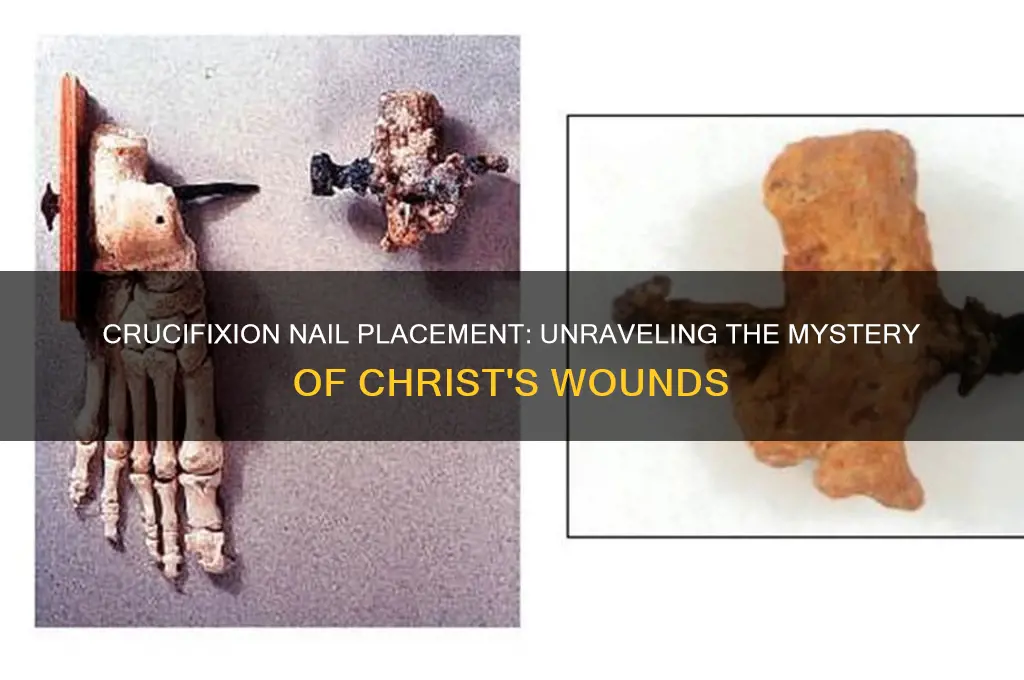 Crucifixion Nail Placement: Unraveling The Mystery Of Christ's Wounds ...