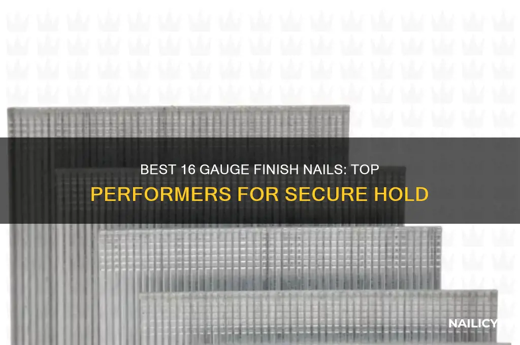 Best 16 Gauge Finish Nails: Top Performers For Secure Hold | Nailicy