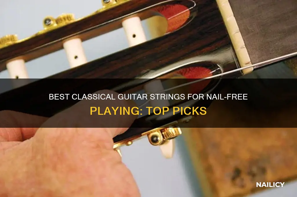 Best Classical Guitar Strings For Nail-Free Playing: Top Picks | Nailicy