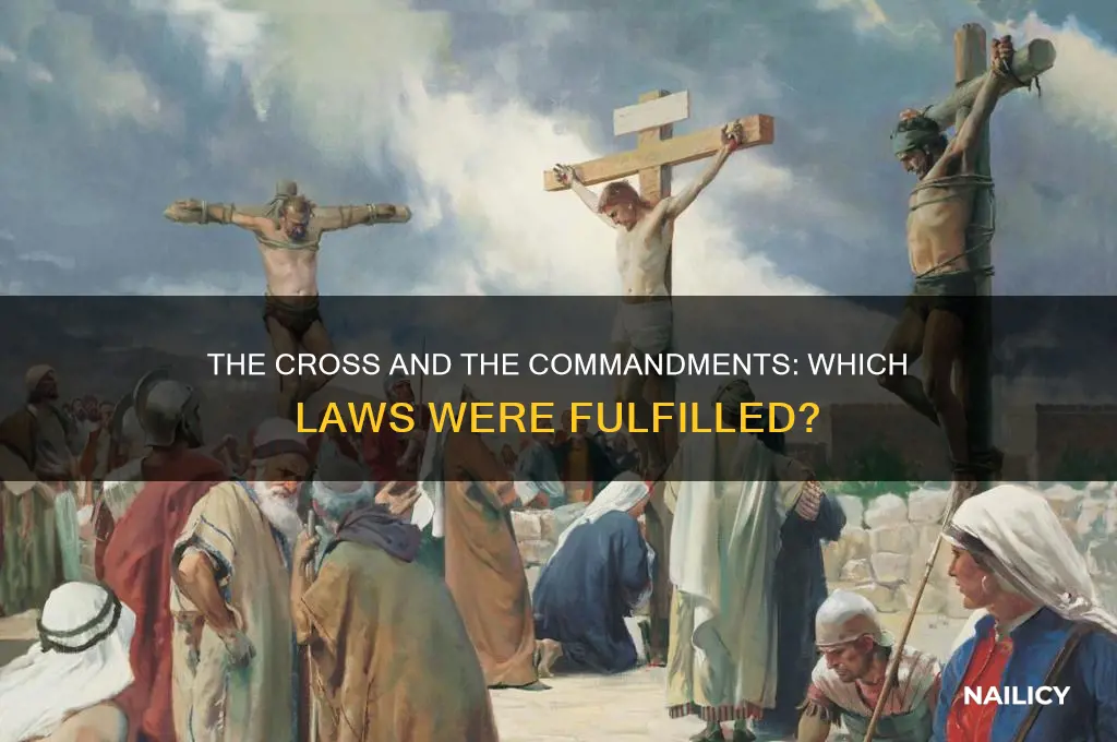 The Cross And The Commandments: Which Laws Were Fulfilled? | Nailicy