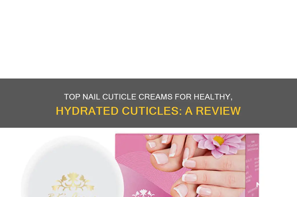 Top Nail Cuticle Creams For Healthy, Hydrated Cuticles: A Review | Nailicy