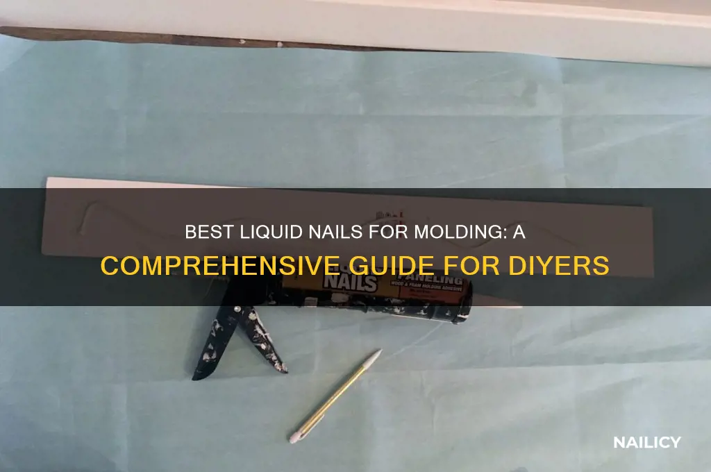 Best Liquid Nails For Molding: A Comprehensive Guide For Diyers | Nailicy