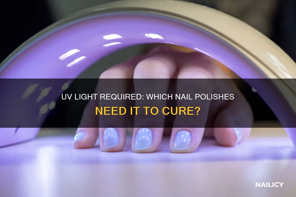 Uv Light Required: Which Nail Polishes Need It To Cure? | Nailicy