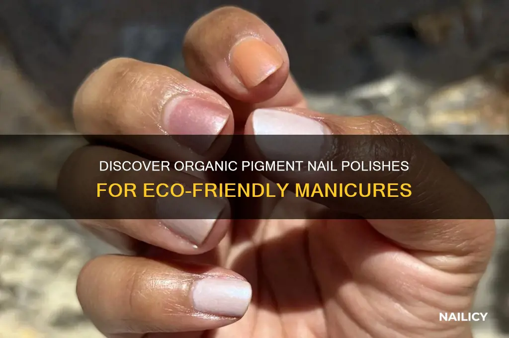 Discover Organic Pigment Nail Polishes For Eco-Friendly Manicures | Nailicy