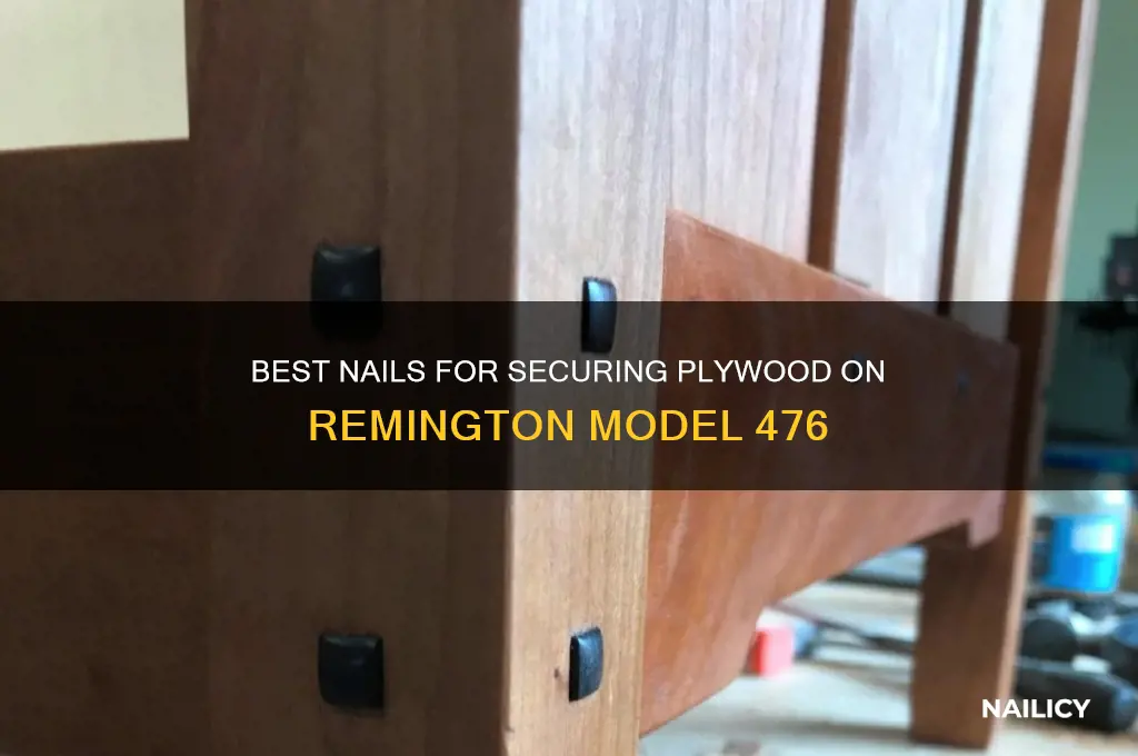 Best Nails For Securing Plywood On Remington Model 476 | Nailicy