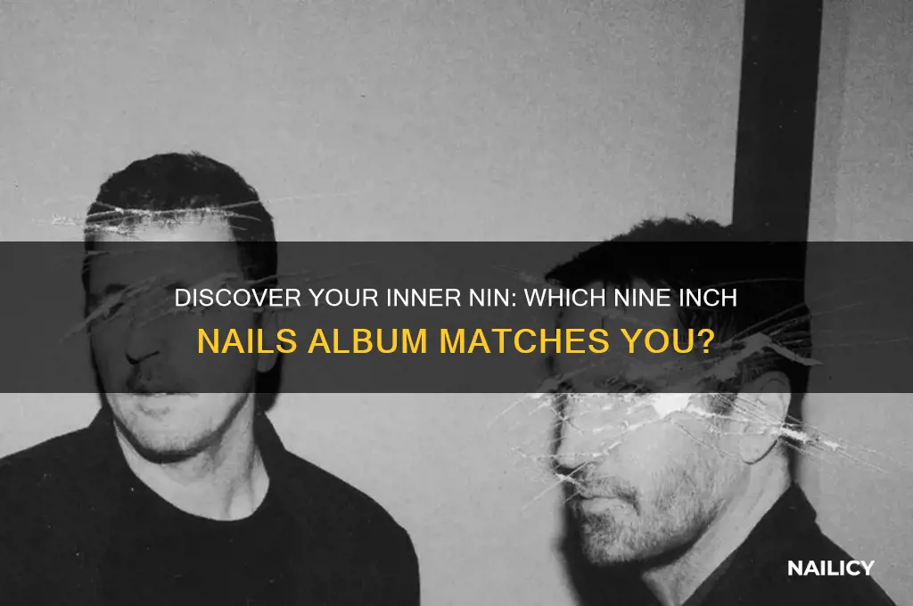Discover Your Inner Nin: Which Nine Inch Nails Album Matches You? | Nailicy