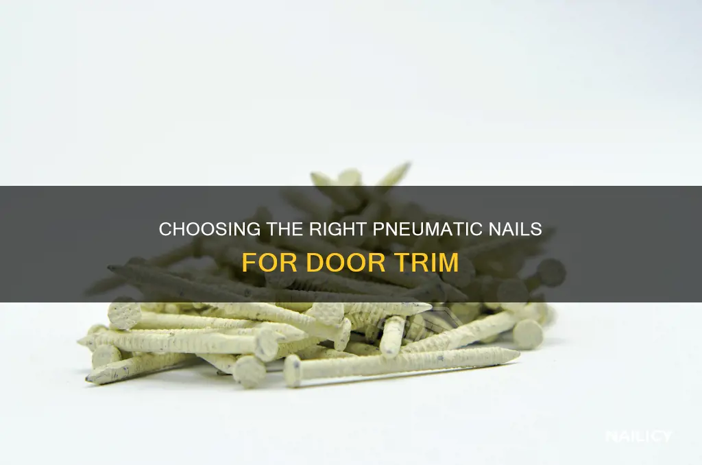 Choosing The Right Pneumatic Nails For Door Trim | Nailicy