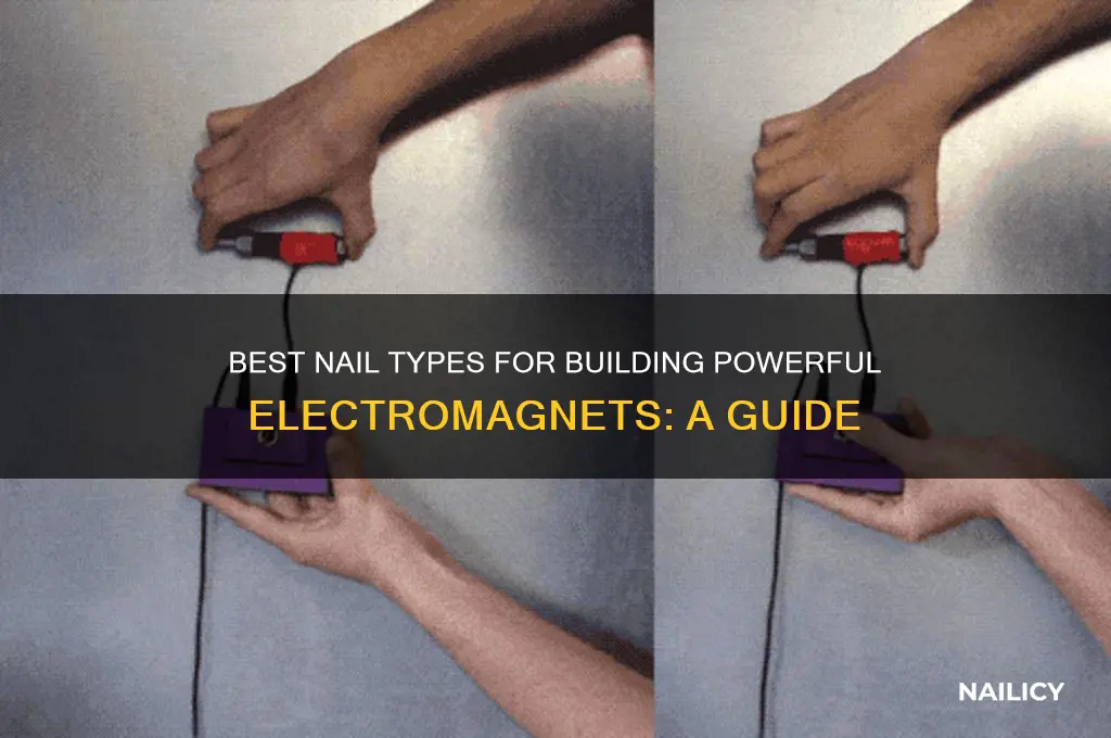 Best Nail Types For Building Powerful Electromagnets: A Guide | Nailicy