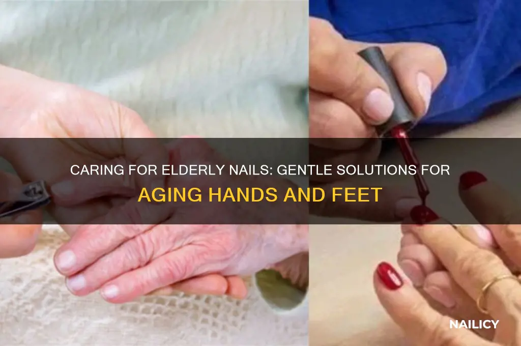 Caring For Elderly Nails: Gentle Solutions For Aging Hands And Feet ...