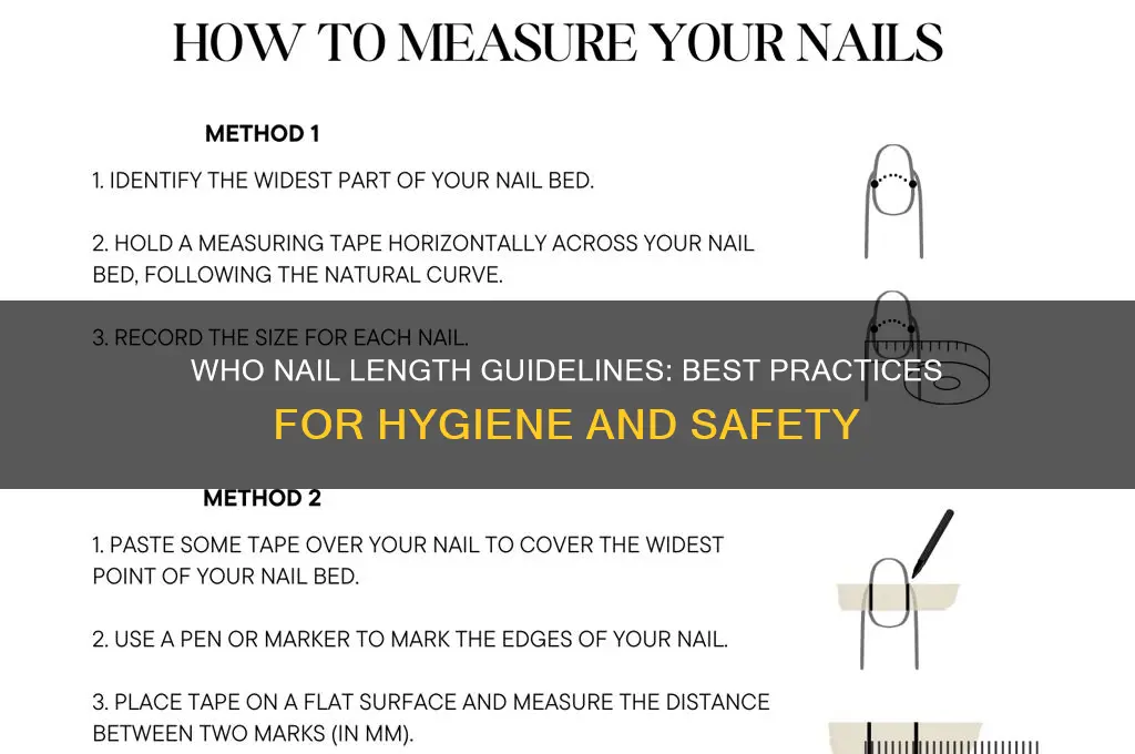 Who Nail Length Guidelines: Best Practices For Hygiene And Safety | Nailicy