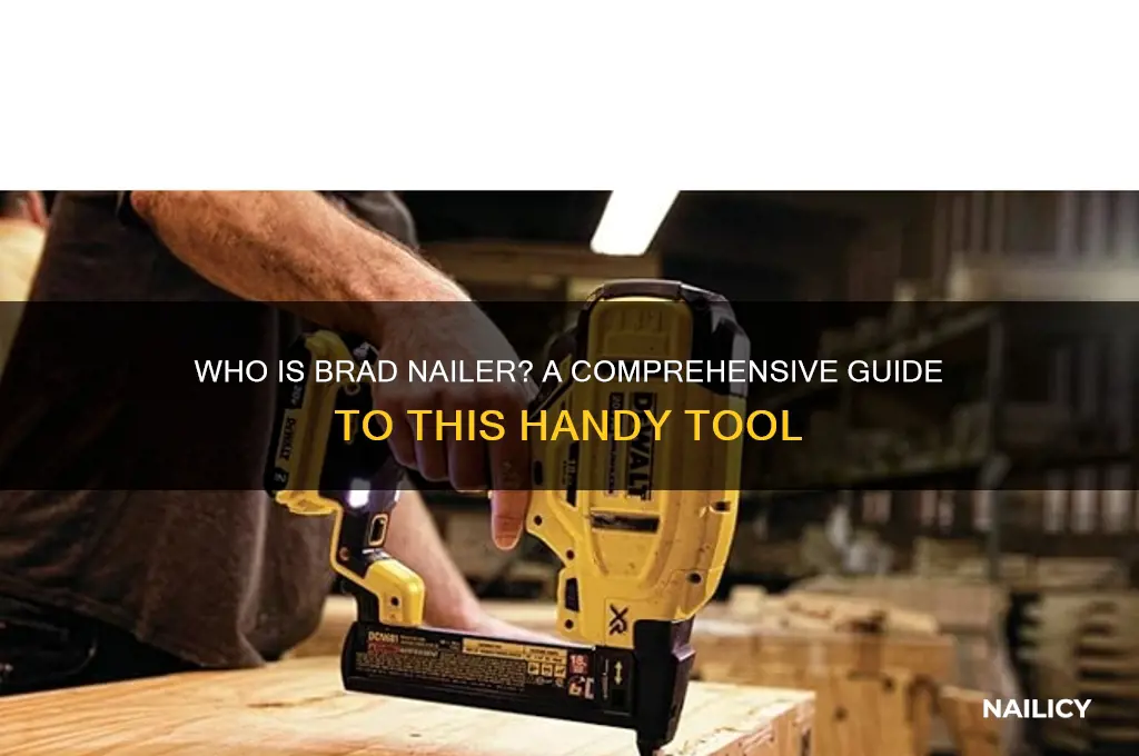 Who Is Brad Nailer? A Comprehensive Guide To This Handy Tool | Nailicy