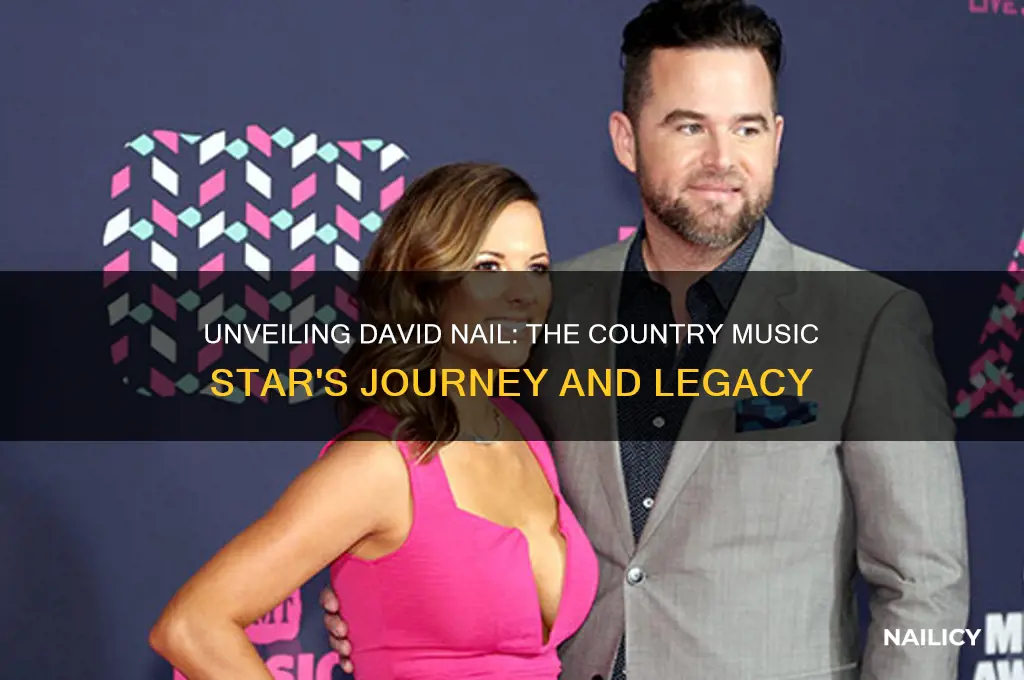 Unveiling David Nail: The Country Music Star's Journey And Legacy | Nailicy