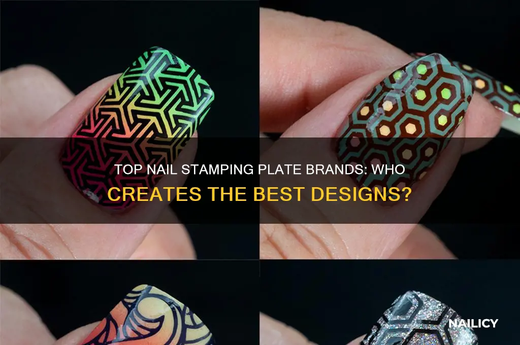 Top Nail Stamping Plate Brands: Who Creates The Best Designs? | Nailicy