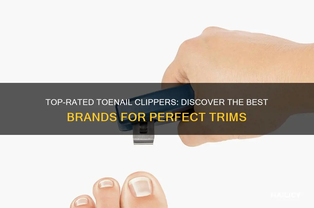 Top-Rated Toenail Clippers: Discover The Best Brands For Perfect Trims ...