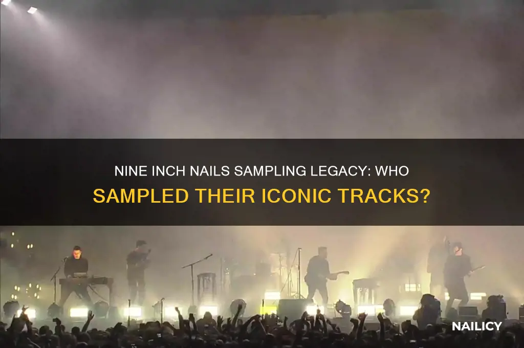 Nine Inch Nails Sampling Legacy: Who Sampled Their Iconic Tracks? | Nailicy