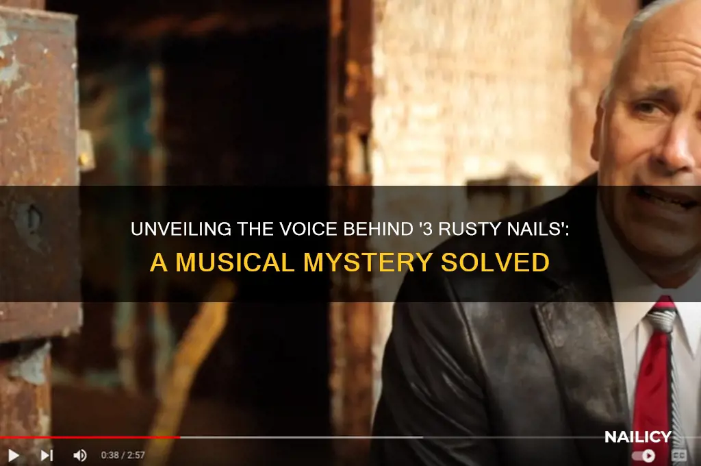 Unveiling The Voice Behind '3 Rusty Nails': A Musical Mystery Solved ...