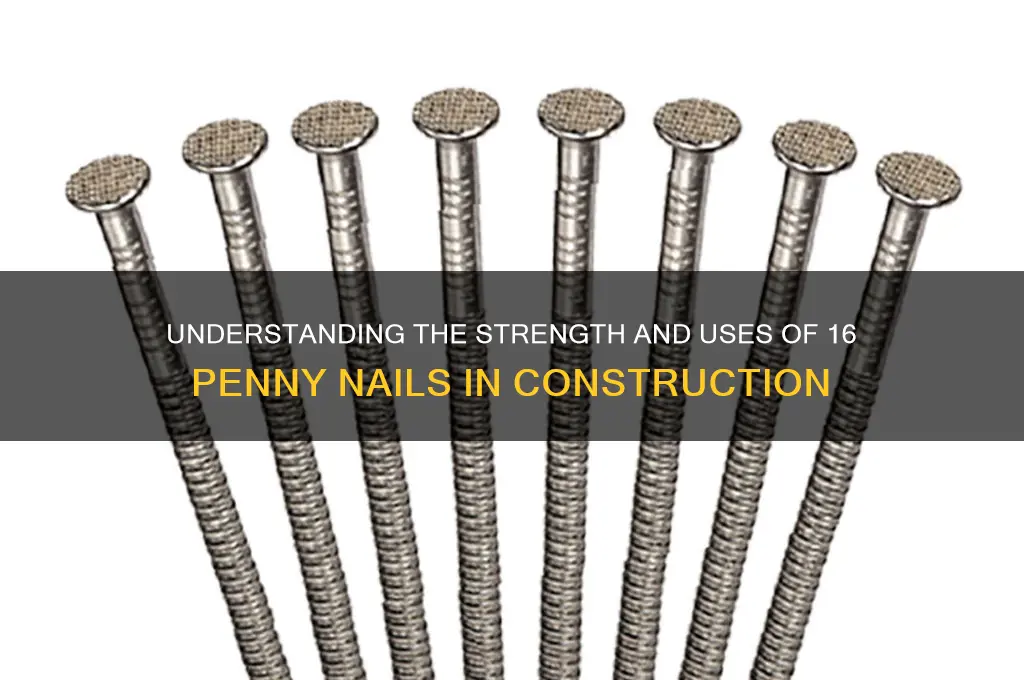 Understanding The Strength And Uses Of 16 Penny Nails In Construction ...