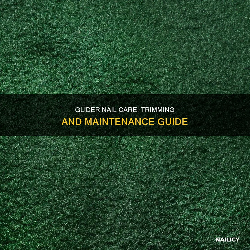 Glider Nail Care: Trimming And Maintenance Guide | Nailicy