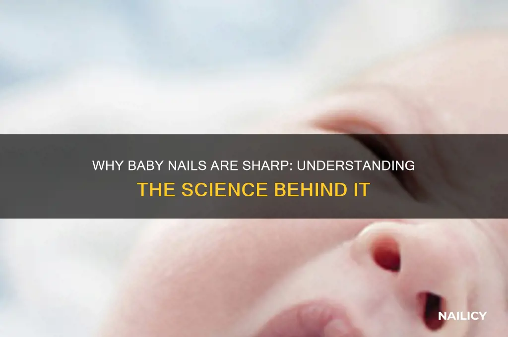 Why Baby Nails Are Sharp: Understanding The Science Behind It | Nailicy