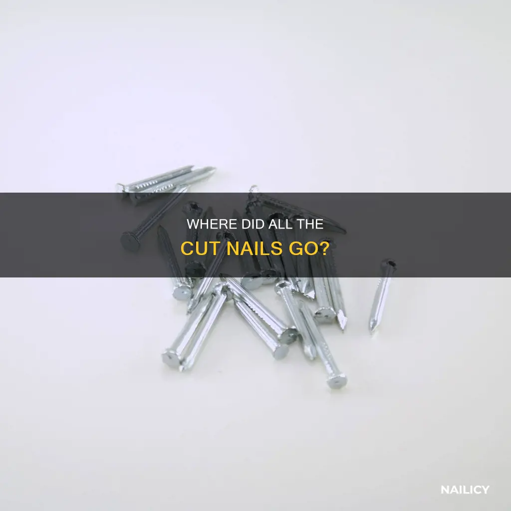 Where Did All The Cut Nails Go? | Nailicy