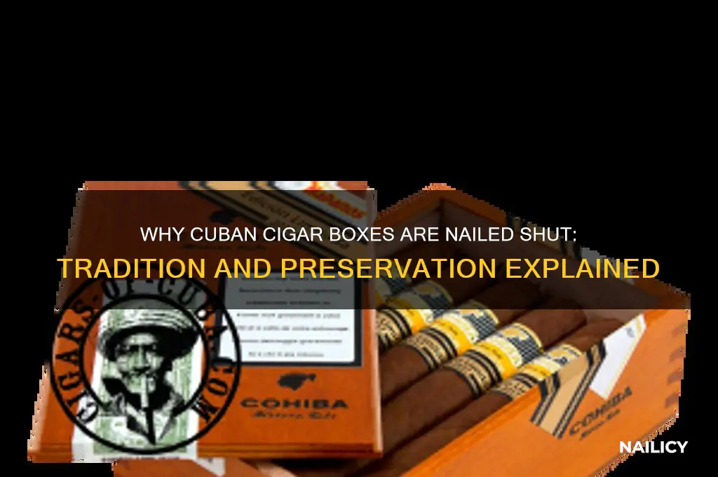 Why Cuban Cigar Boxes Are Nailed Shut: Tradition And Preservation ...