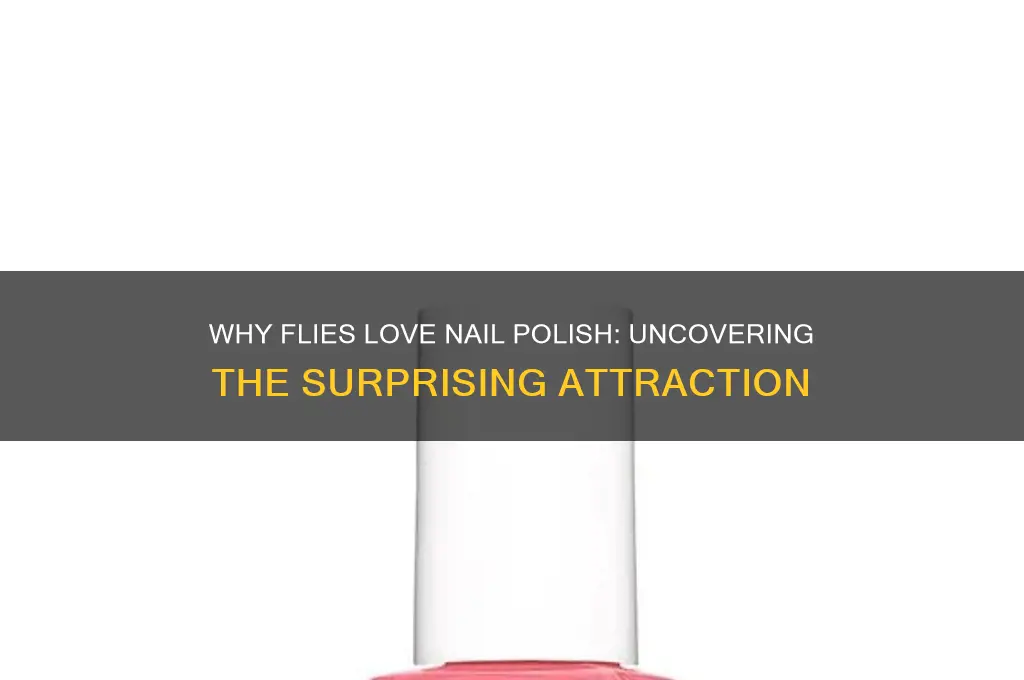 Why Flies Love Nail Polish: Uncovering The Surprising Attraction | Nailicy