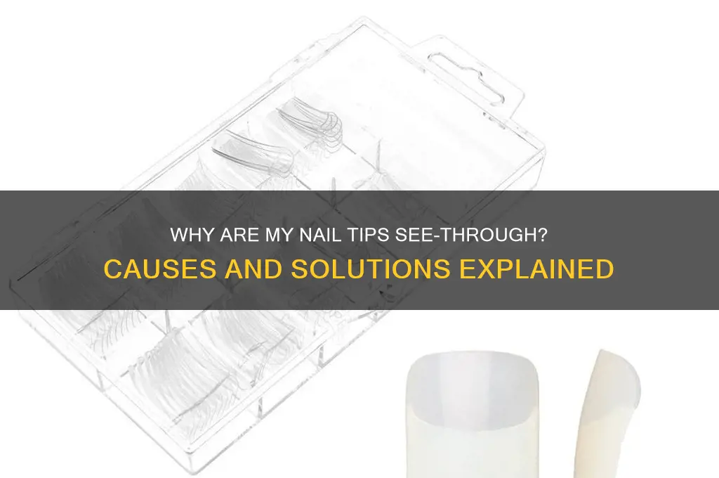 Why Are My Nail Tips See-Through? Causes And Solutions Explained | Nailicy