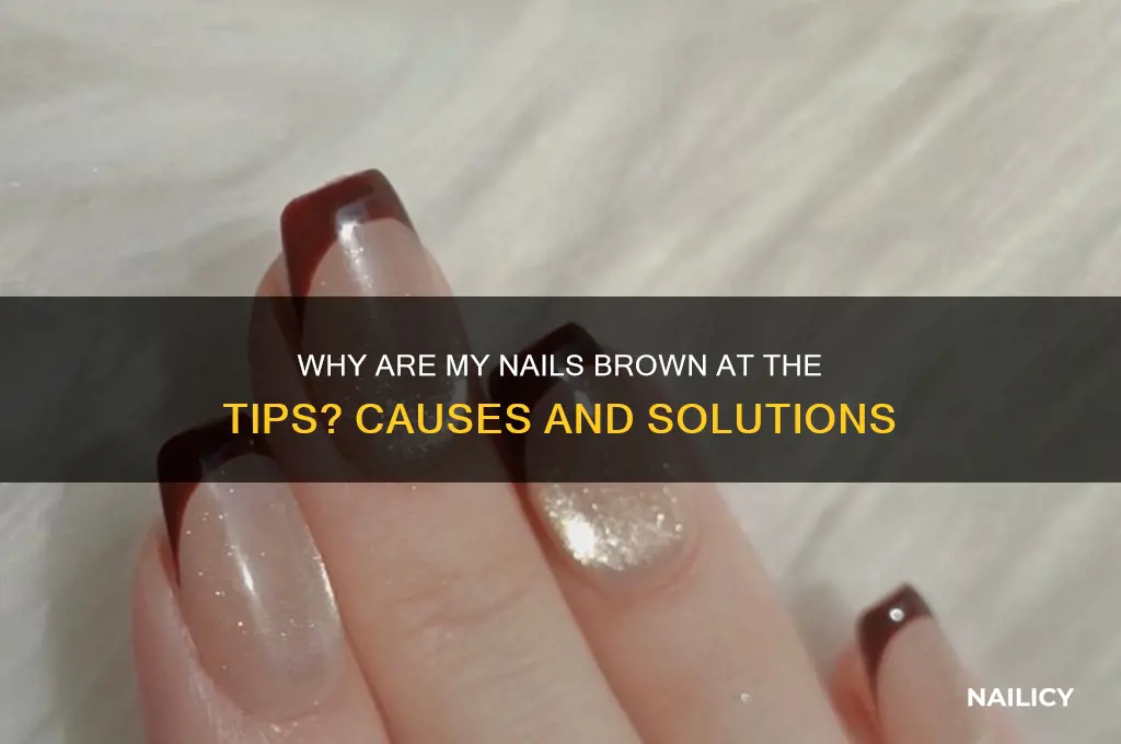 Why Are My Nails Brown At The Tips? Causes And Solutions | Nailicy