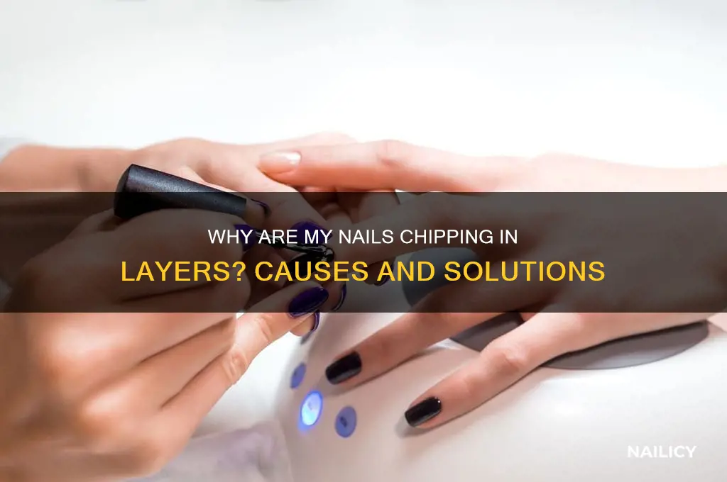 Why Are My Nails Chipping In Layers? Causes And Solutions | Nailicy
