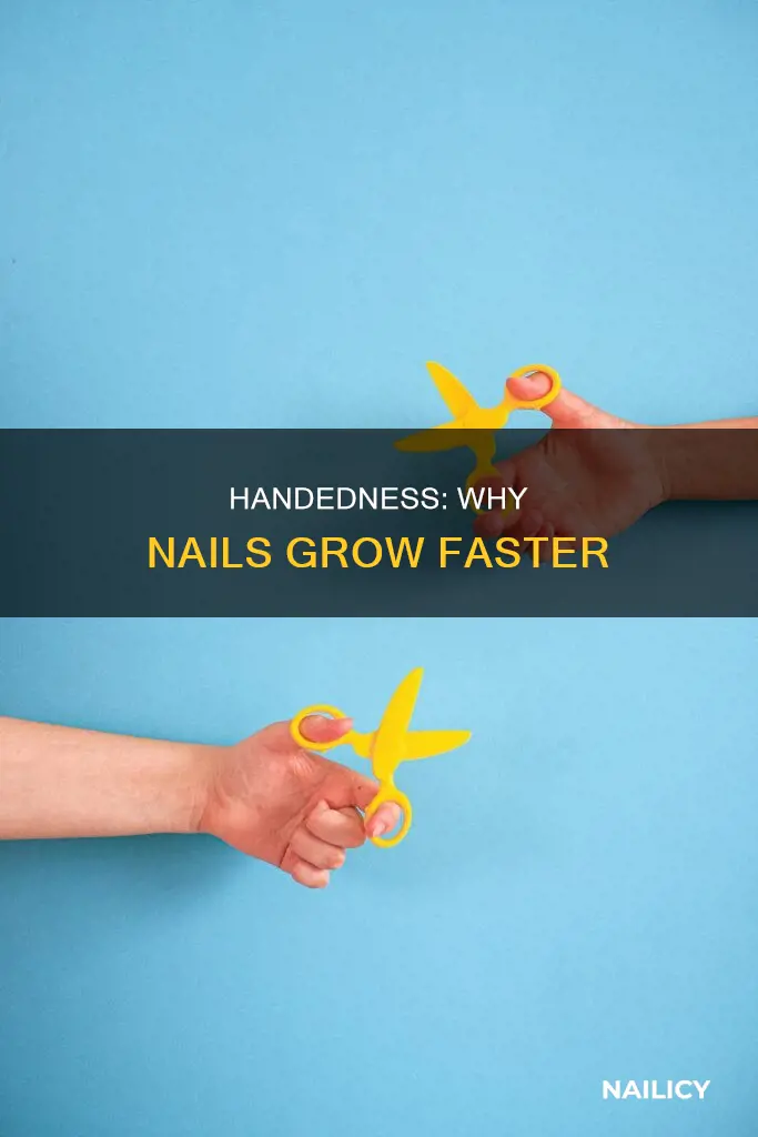 Handedness: Why Nails Grow Faster | Nailicy