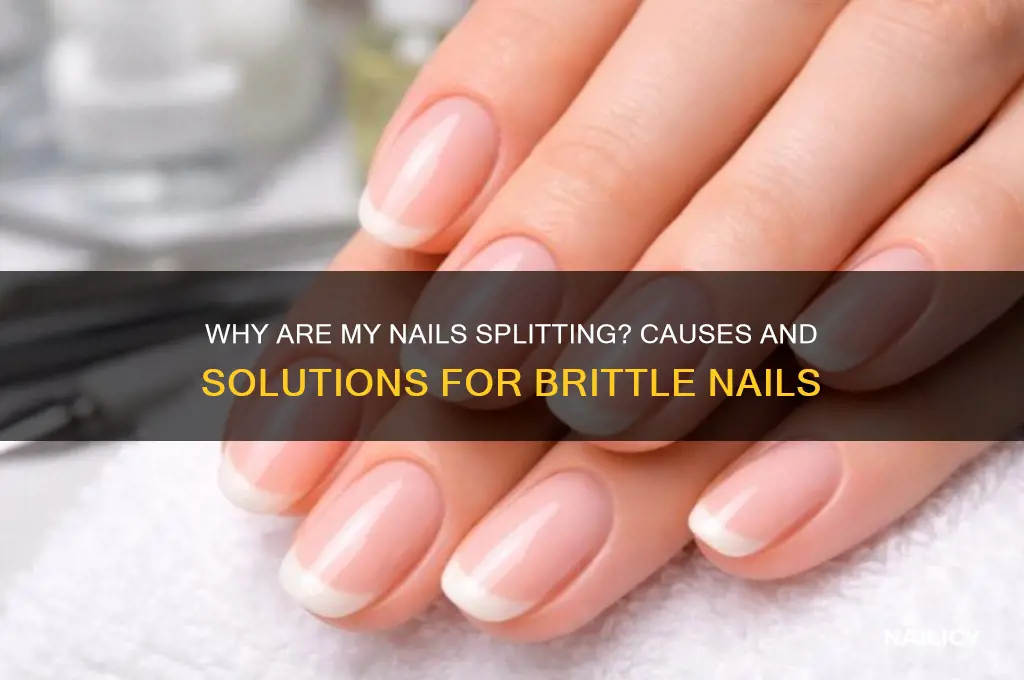 Why Are My Nails Splitting? Causes And Solutions For Brittle Nails ...