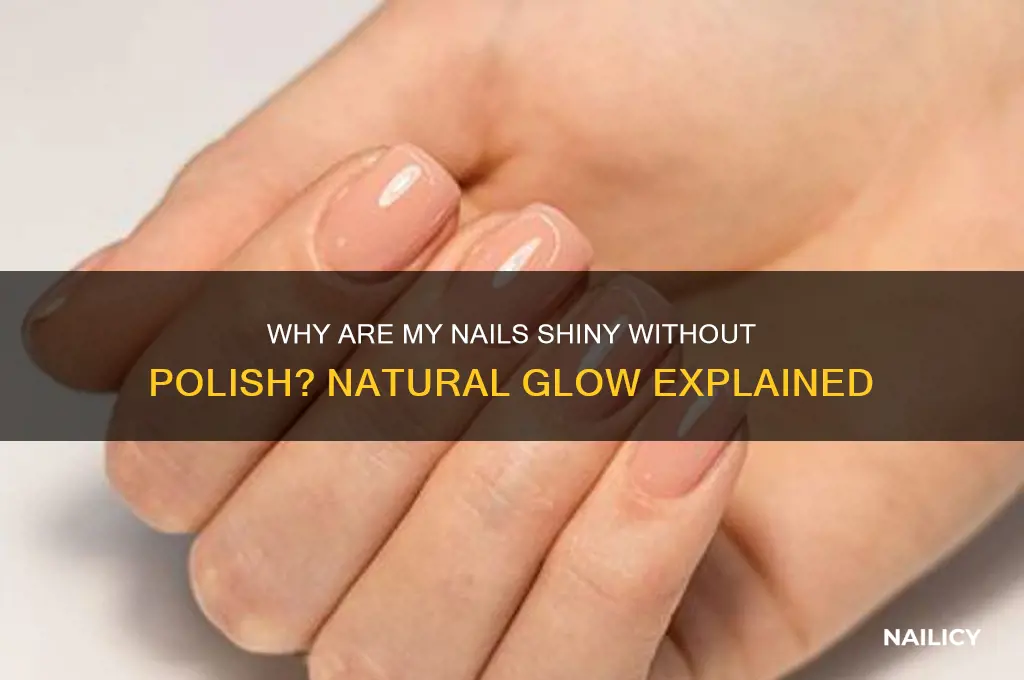 Why Are My Nails Shiny Without Polish? Natural Glow Explained | Nailicy