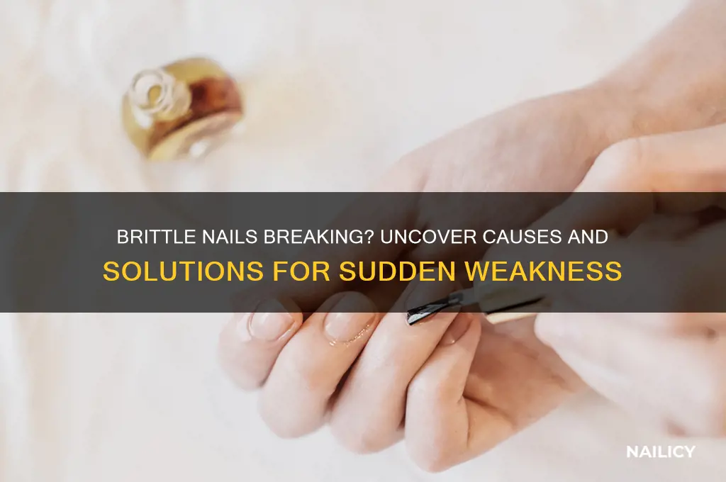 Brittle Nails Breaking? Uncover Causes And Solutions For Sudden ...