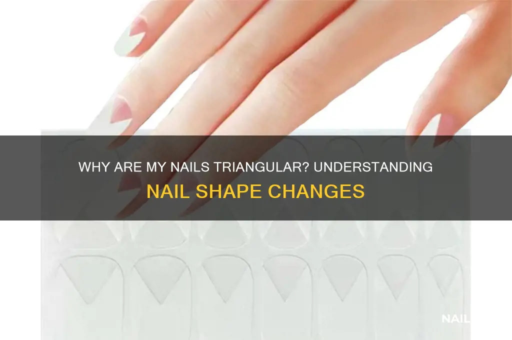 Why Are My Nails Triangular? Understanding Nail Shape Changes | Nailicy