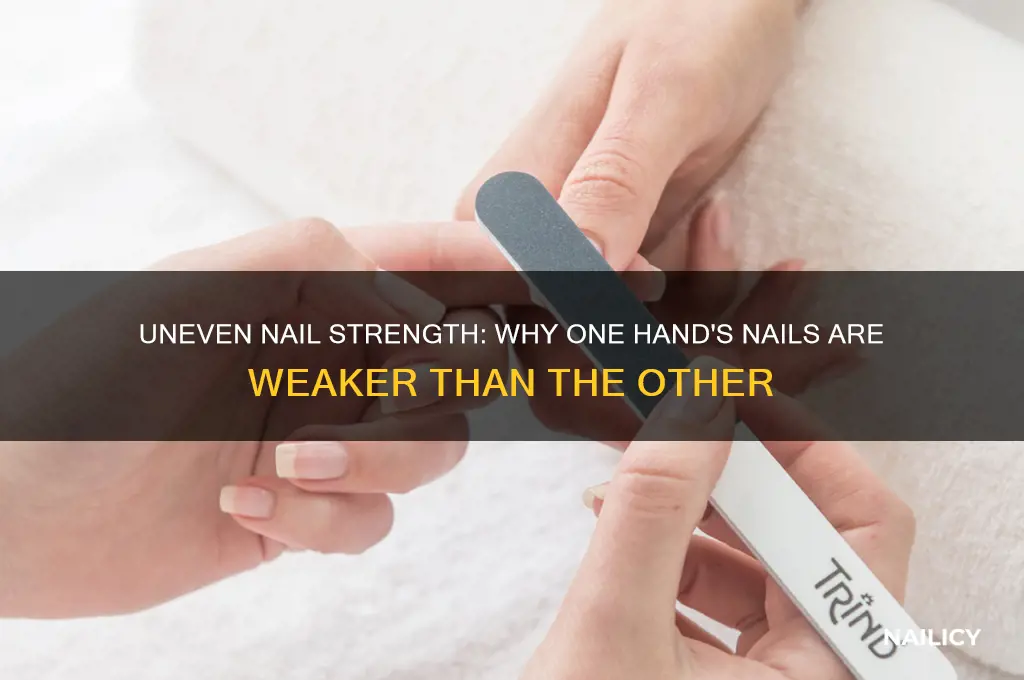Uneven Nail Strength: Why One Hand's Nails Are Weaker Than The Other ...