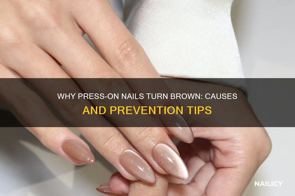 Why Press-On Nails Turn Brown: Causes And Prevention Tips | Nailicy