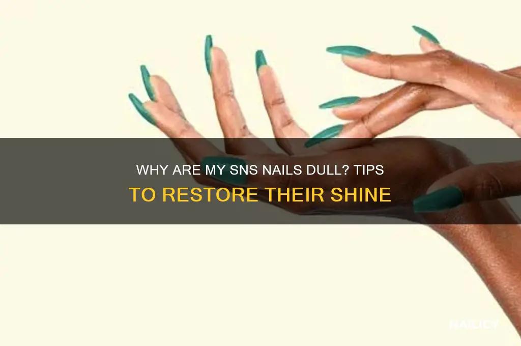 Why Are My Sns Nails Dull? Tips To Restore Their Shine | Nailicy