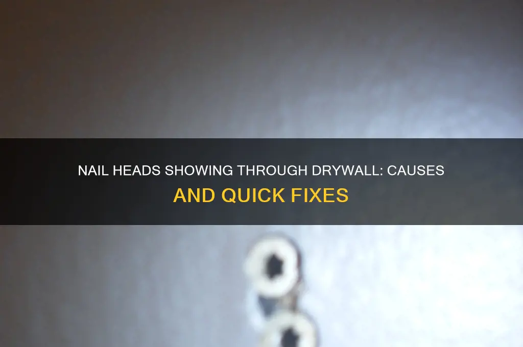 Nail Heads Showing Through Drywall: Causes And Quick Fixes | Nailicy