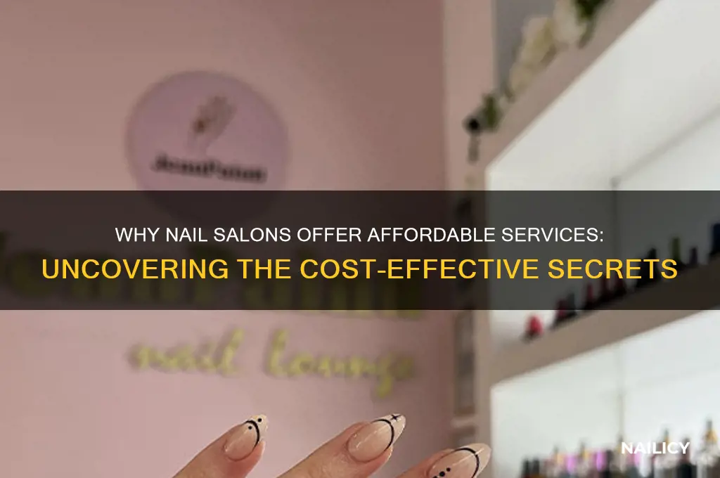 Why Nail Salons Offer Affordable Services: Uncovering The Cost ...