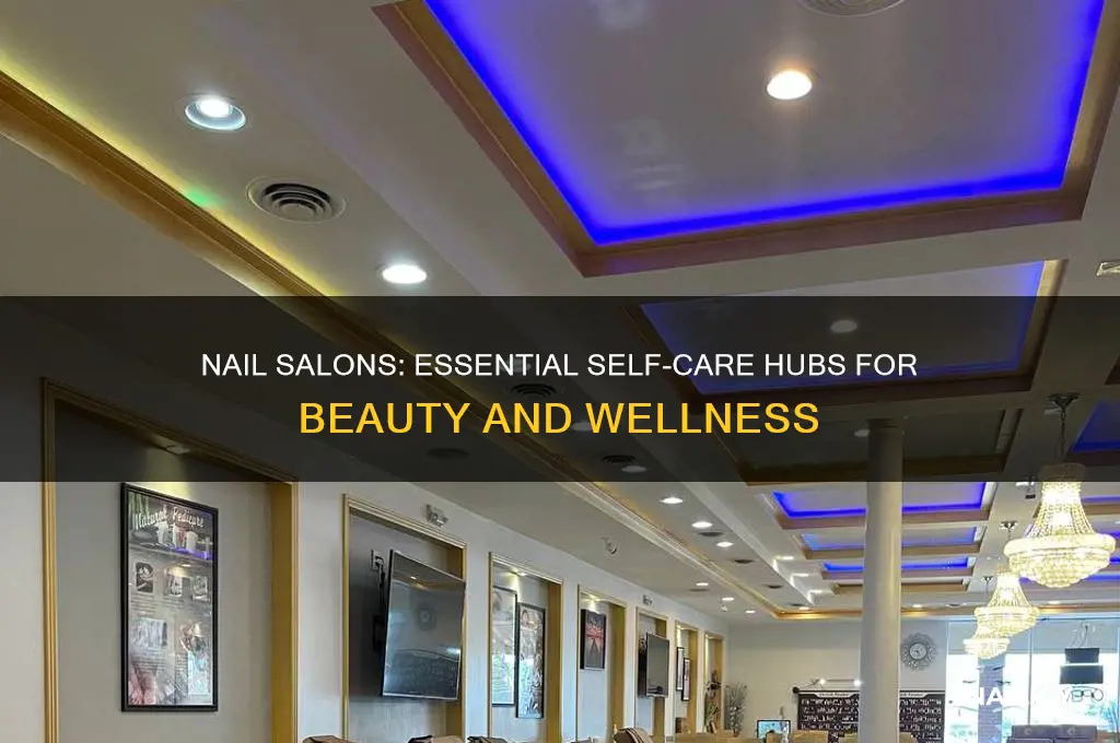 Nail Salons: Essential Self-Care Hubs For Beauty And Wellness | Nailicy