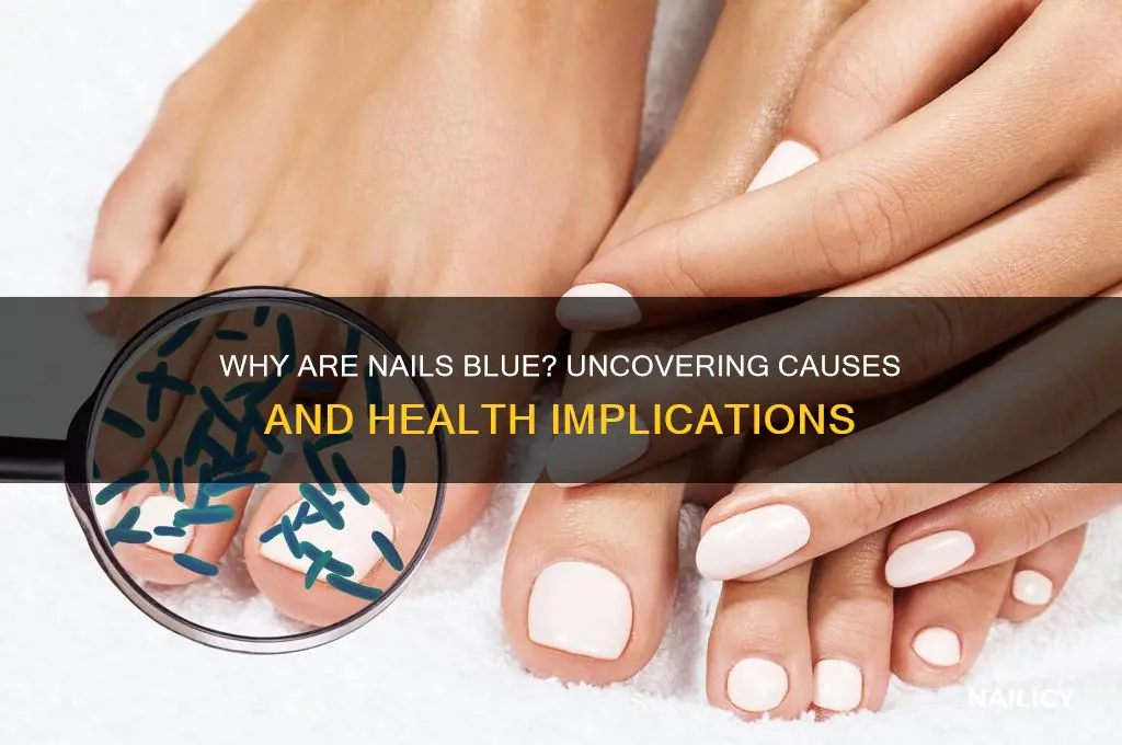 Why Are Nails Blue? Uncovering Causes And Health Implications | Nailicy